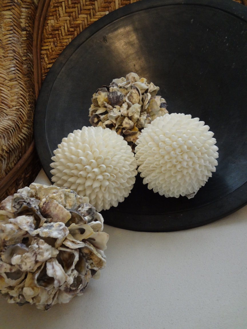 White Bubble Shell, orbs, spheres, coastal, beach decor, coastal home ...